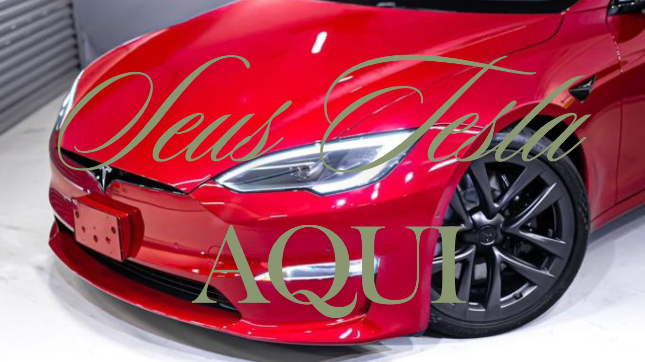 Plaid - TESLA BRASIL